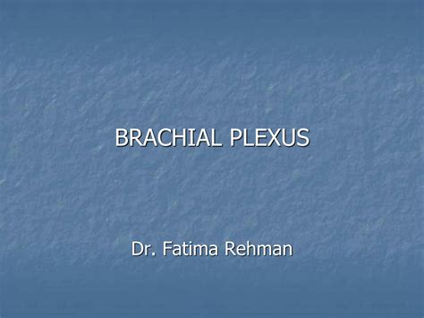 SOLUTION Brachial Plexus Studypool SOLUTION Brachial Plexus Studypool