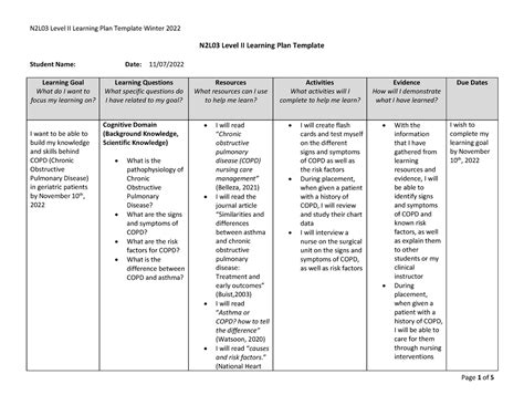 Learning Plan Final N2l03 Level Ii Learning Plan Template Student Name Date 1107 Learning