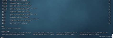 linux 安装docker docker dockstation csdn博客