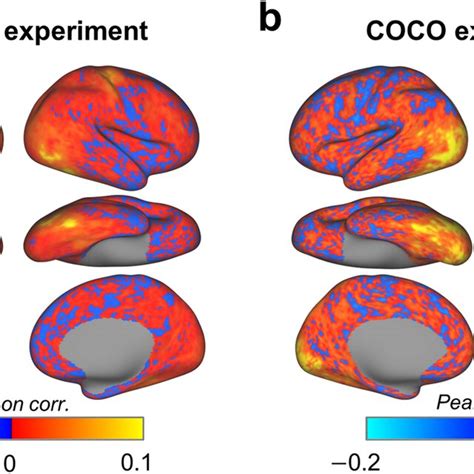 Pdf A Large Scale Fmri Dataset For The Visual Processing Of Naturalistic Scenes
