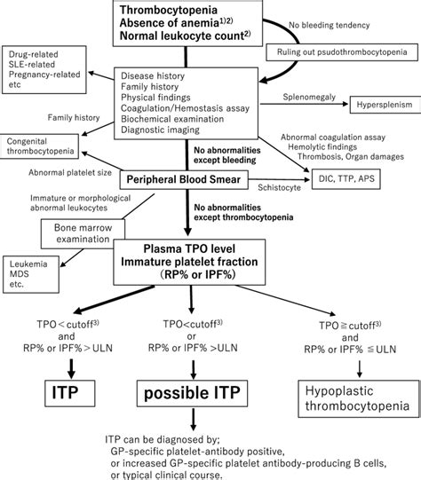 Flowchart Of Itp Diagnosis Anemia Due To Bleeding And Iron Deficiency Download Scientific