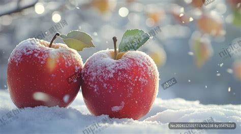 Ai创作图瑞雪苹果高清图 冬天里的苹果 瑞雪苹果 瑞雪苹果图片 瑞雪苹果详情 瑞雪苹果主图 冬天里的水果 冻苹果 冰雪中的果实 瑞雪苹果详情页 冰冻苹果 十一月苹果 雪中果实拍照特写 雪中的