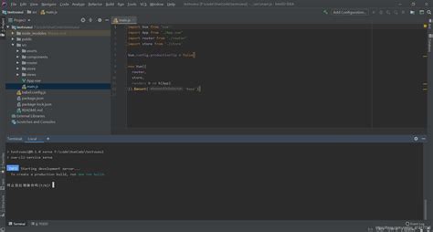 Win10中idea如何运行vue项目（超详细）idea中vue怎么在terminal命令执行 Csdn博客