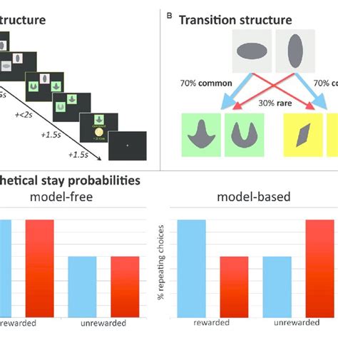 Experimental Paradigm Two Step Sequential Decision Making Task A Download Scientific
