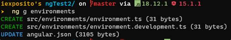 Angular Remote Application In Standalone Doesn T Generate Environment Files Issue