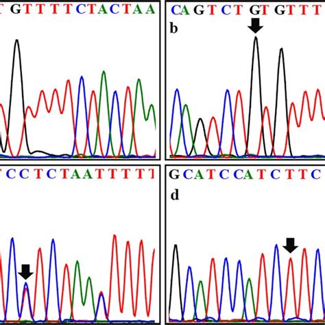Genotypes Of Locus 1587 On Sex Linked Gene Unigene0020898 And Genotypes