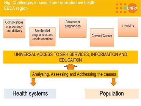 International Session At The 25th European Congress Ppt Download