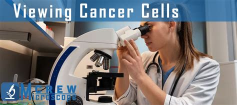 How To Identify Cancer Cells Under A Microscope Microscope Crew