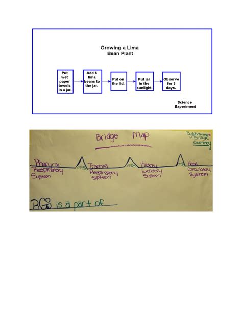 PDF Examples Of Thinking Maps Doc DOKUMEN TIPS