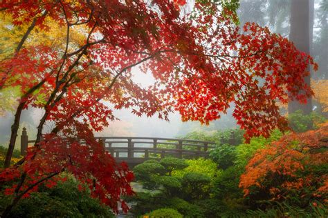 Fall Things To Do Portland At Alex Cruz Blog