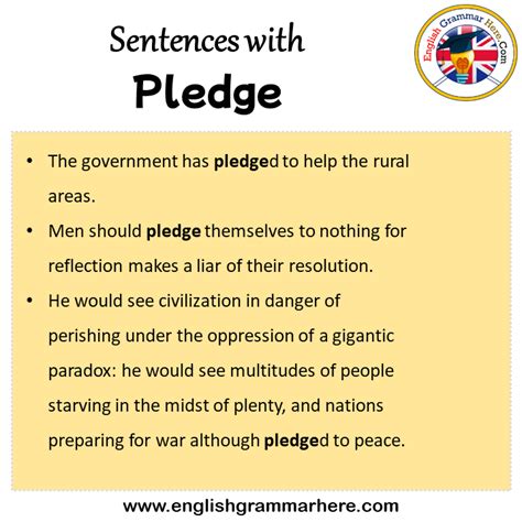 Sentences With Pledge Pledge In A Sentence In English Sentences For