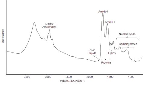 Figure 2 From Multivariate Analysis For Fourier Transform Infrared Spectra Of Complex Biological