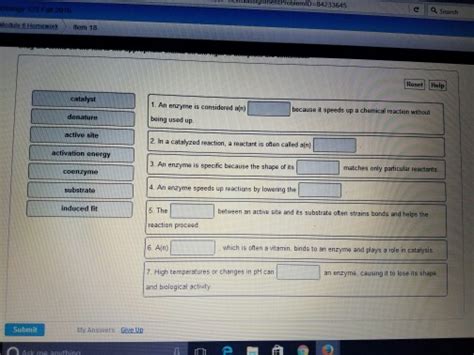 Solved Match These Terms About Enzymes To Their Description