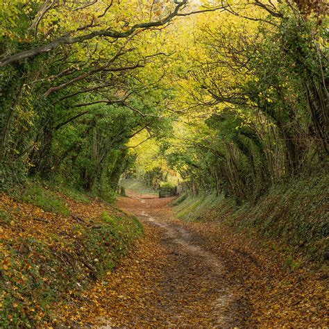 The Recap Of 2023 And Whats Next — Kevin Gosney Photography