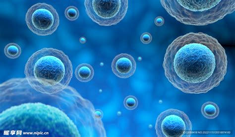 细胞设计图 图片素材 其他 设计图库 昵图网