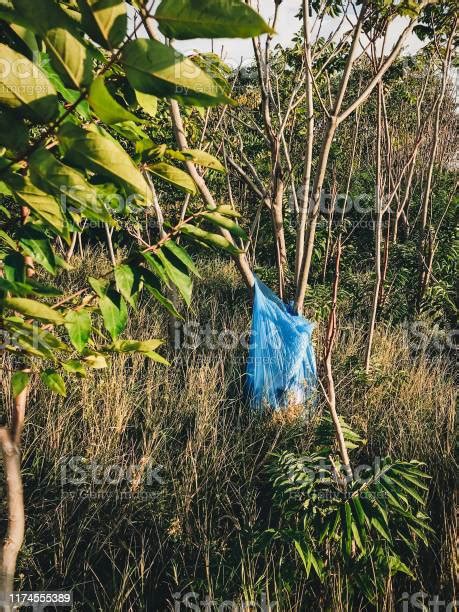 공원이나 숲의 나무에서 쓰레기와 큰 비닐 봉지 플라스틱 오염 사람들이 휴가 후 잔디에 쓰레기 쓰레기 재해 일회용 금지 폐기물