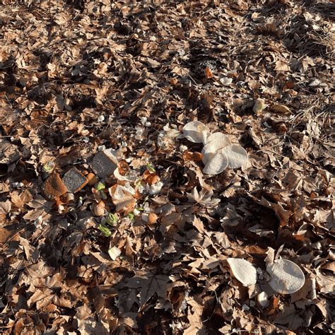 The Ultimate Guide To Composting Basaltic Farms