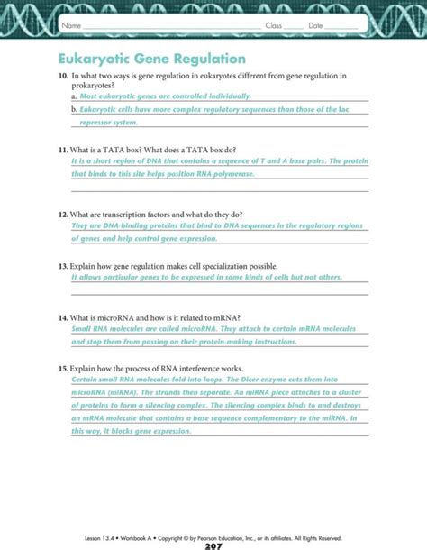Rna And Gene Expression Worksheet Answers Math Worksheets — Db