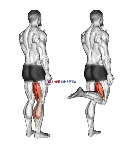 Standing Single Leg Curl - Home Gym Review