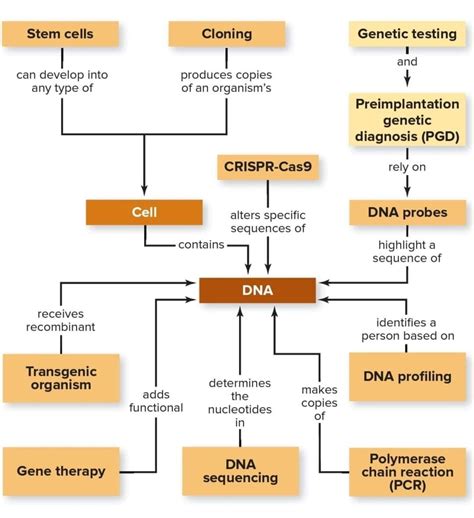 hanaa fayed on linkedin pull it together dna technology ‼️