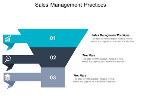 Sales Management Practices Ppt Powerpoint Presentation Professional