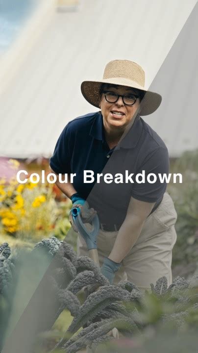 Gavin Hatheway On Linkedin Colourgrading Postproduction Tourism