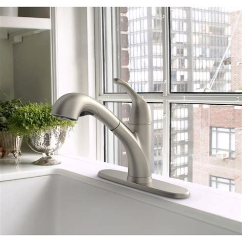 Project Source Everfield Stainless Steel Single Handle Pull Out Kitchen