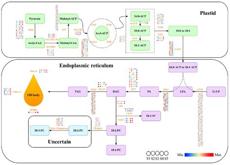 Identification Of Differentially Expressed Genes P Koraiensis Seed Download Scientific Diagram