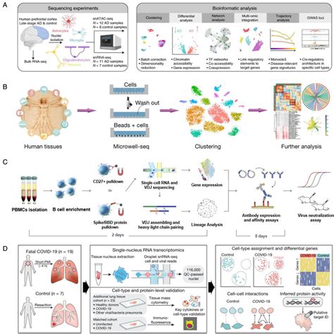 Application Of Microfluidic Single‐cell Sequencing In Neuroscience