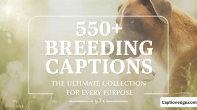 300 Abdl Captions Tumblr Finding Your Community