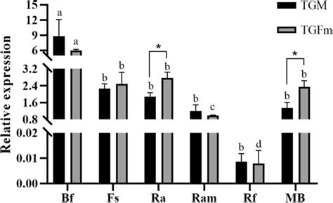 Determination Of Rumen Microbiota Density Of Tibetan Goats Of Different Download Scientific