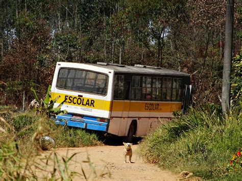 Yellow And Blue Bus On Green Grass Field During Daytime Photo Free