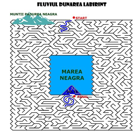 Dunarea Fisa De Tip Labirint Profu De Geogra