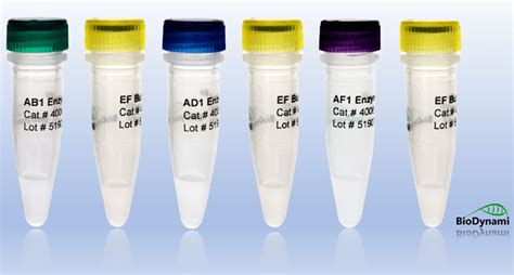 Enzymes For Molecular Biology