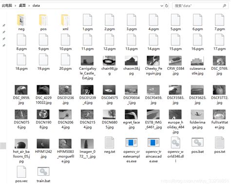 Opencv（18） 训练人脸模型ubuntu中opencv的人脸训练模型 Csdn博客