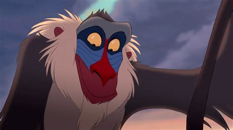 Rafiki Disney Wiki Fandom Powered By Wikia