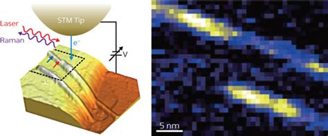 Individual Carbon Nanotubes Go Under The Microscope