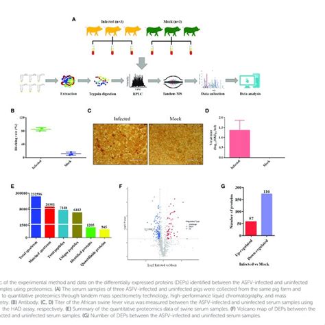 Kegg Pathway And Cog Kog Functional Classification Analysis Of Deps In