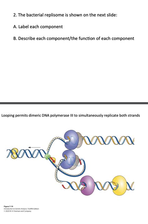 Solved A Label Each Component B Describe Each