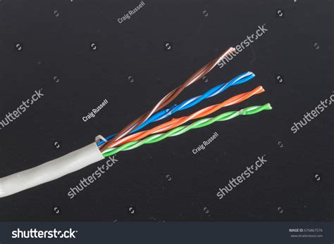 Stripped Ethernet Cable Showing Twisted Pairs Stock Photo Shutterstock
