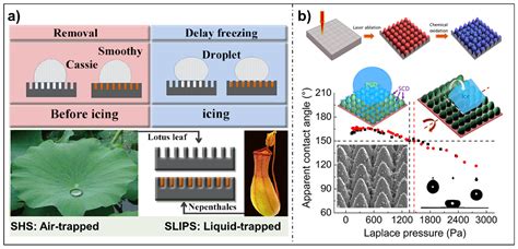 Biomimetic Superhydrophobic Materials Through 3d Printing Progress And