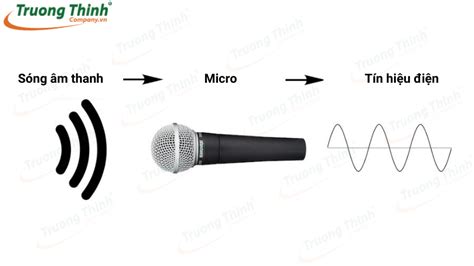 Micro Là Gì PhÂn LoẠi Và Cấu Tạo Chi Tiết Của Microphone Trường