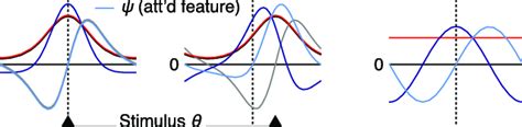 Identifying Attentional Fluctuations From Variability In Neuronal