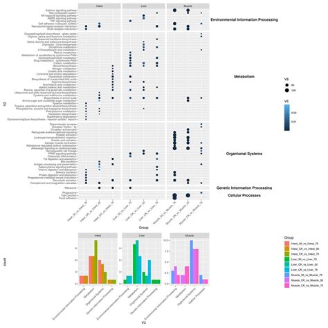 Kegg Result Visualization By Ggplot Karobben Kegg Result Visualization By Ggplot Karobben