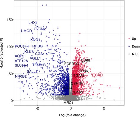The Differentially Expressed Genes Degs In Tcga Kirc Database