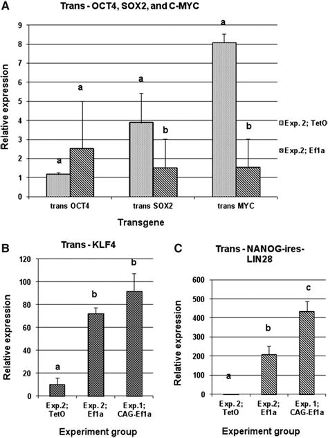 Relative Quantitative Real Time Pcr Analysis Of Transgene Expression In Download Scientific