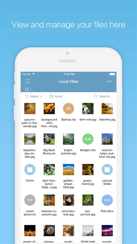 File Manager Plus Para Iphone Descargar