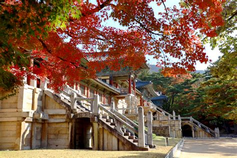 Buddhist Heritage In Korea Temples Statues And Scriptures