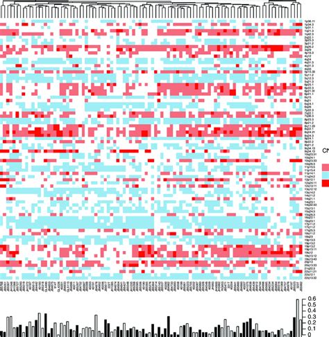 Significant Copy Number Alterations As Identified By Gistic The Download Scientific Diagram