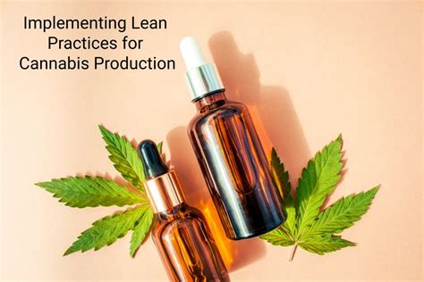 Implementing Lean Manufacuring For Cannabis Producers
